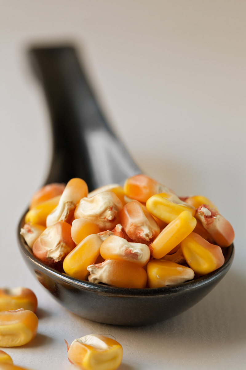 Henry Moore Yellow Hominy Corn | Anson Mills - Artisan Mill Goods from ...